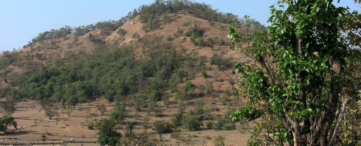 Barvai Fort