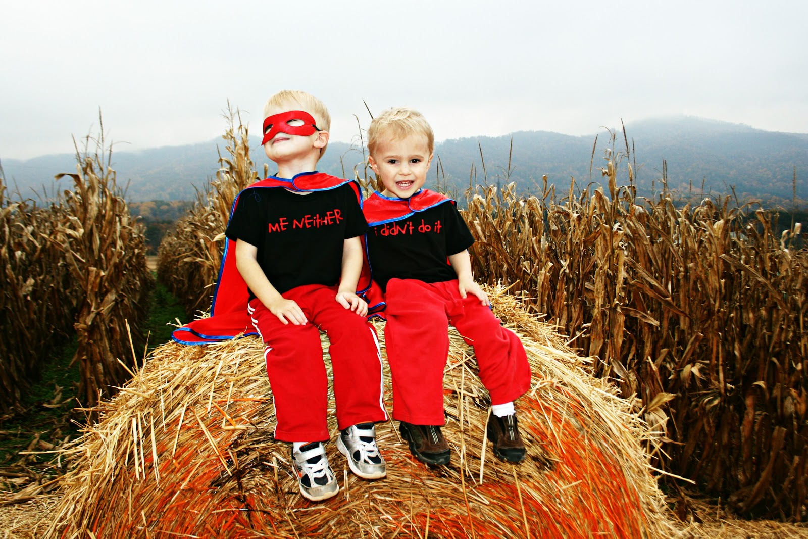 Two Bears Farm and the Three Cubs: The Pumpkin Patch - Jeter Farm ...