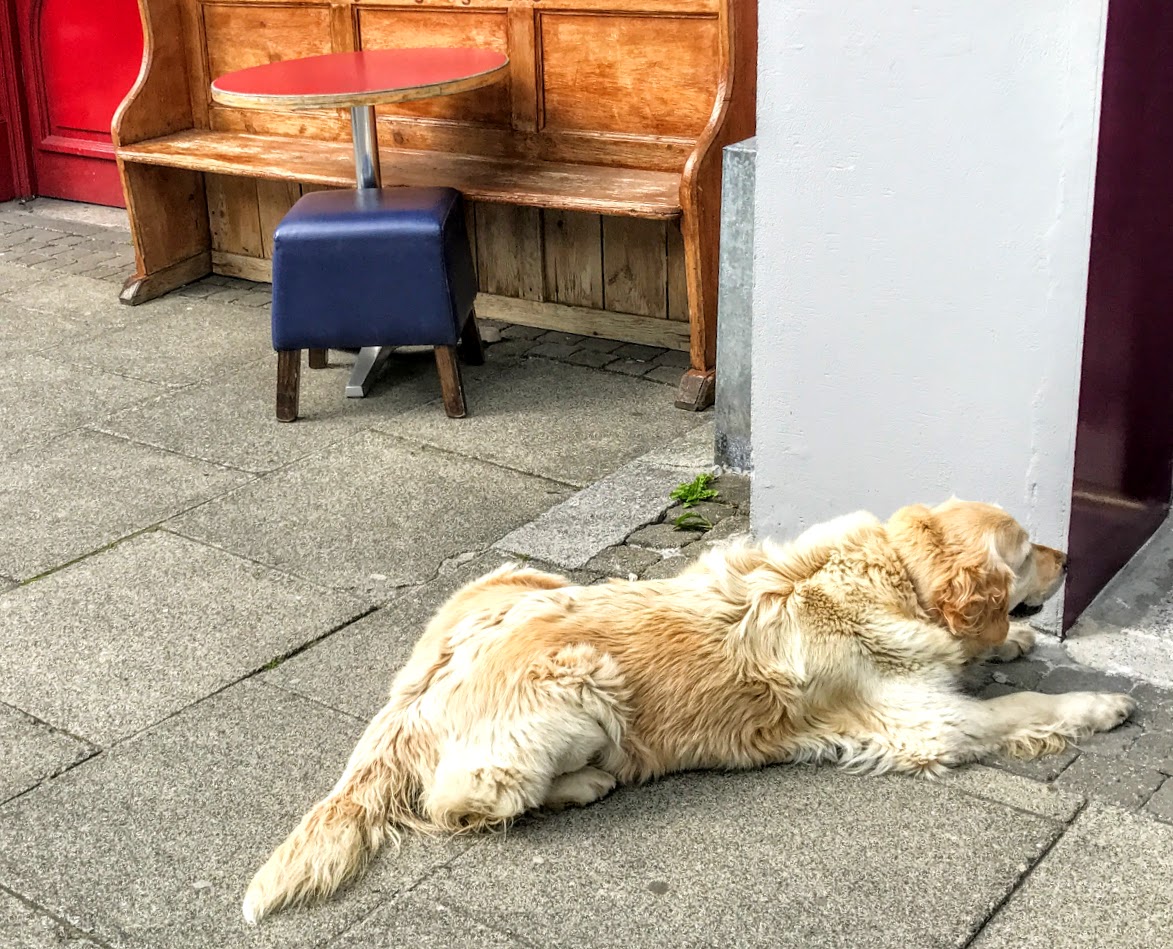 Patrick Comerford: When ‘even the dogs under the table eat the children ...