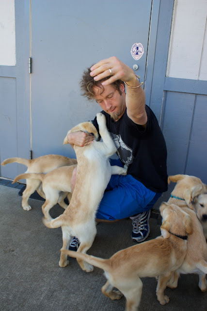 FRiSKY FiTNESS: The fit will survive...the frisky fit will thrive!: The ...