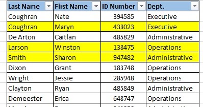 Boston Excel Consulting: Extreme Filters & Sorting
