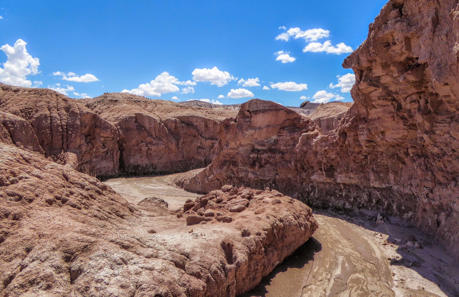 cruisingat60: And lived to tell about it