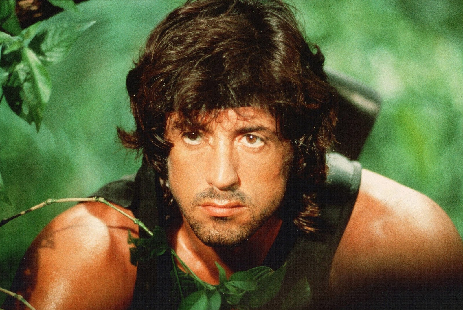 Rambo (18 photos)