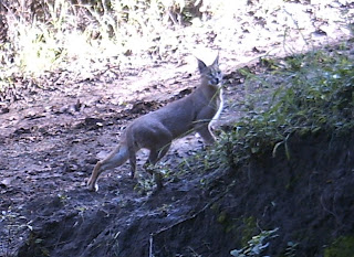 Kwa Mmatau Wildlife Reserve