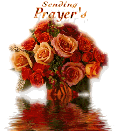 Orange Rose Animated Wallpapers - flowershdwallpapers