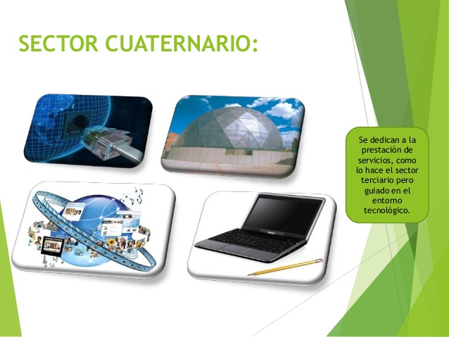 3ALuciaPerezFernandez: SECTOR CUATERNARIO