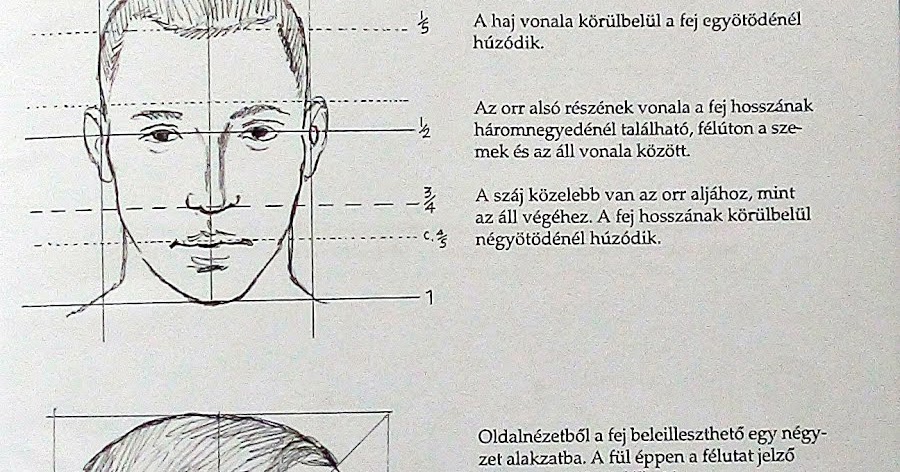 ,: Tudtad? - az emberi fej arányai (Barrington Barber)