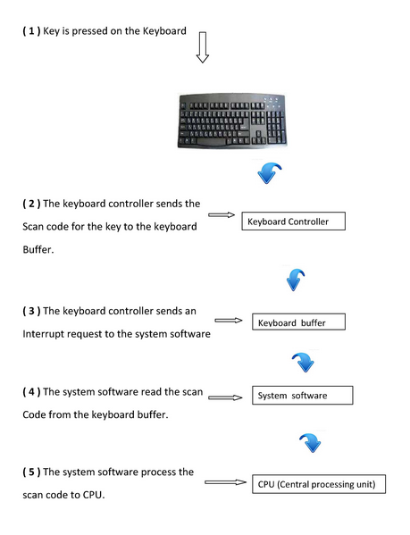 Lucid Learning 4 U How Computer Accepts Input From Keyboard
