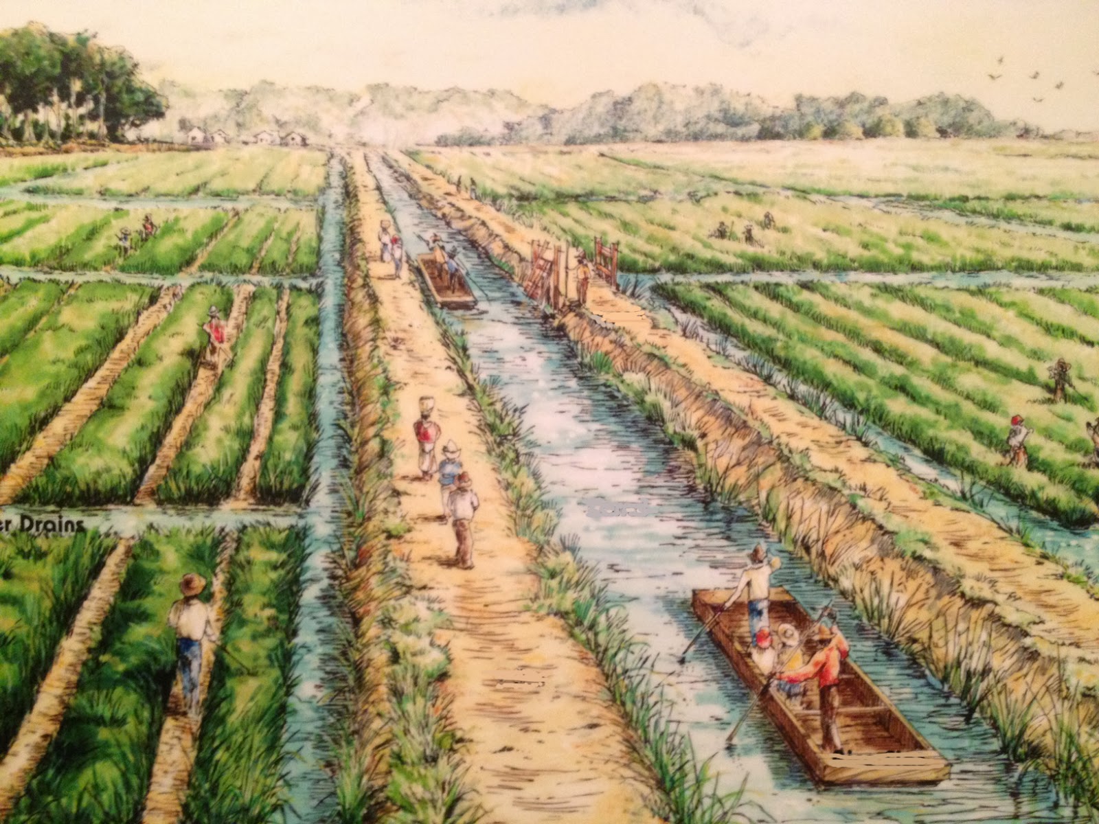 THE CAPTAIN'S BLOG: January 2014