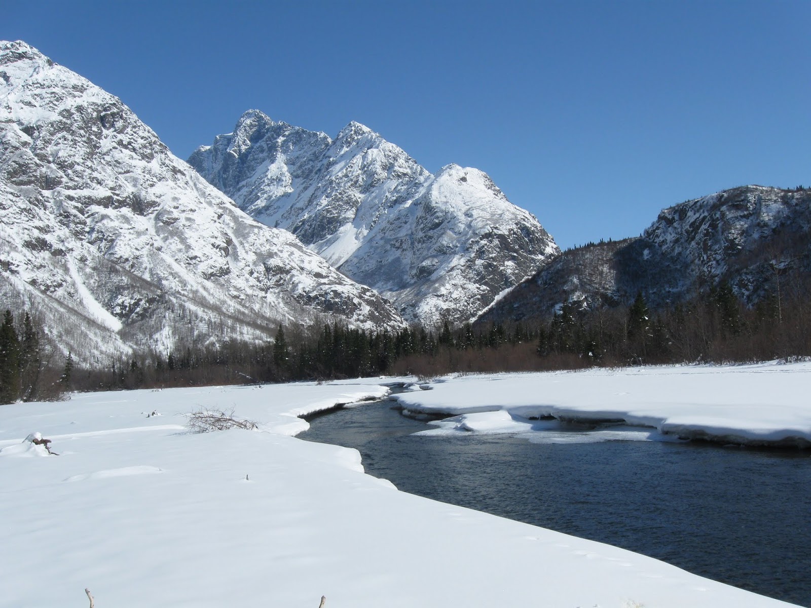 Alaska Llamas and Hiking