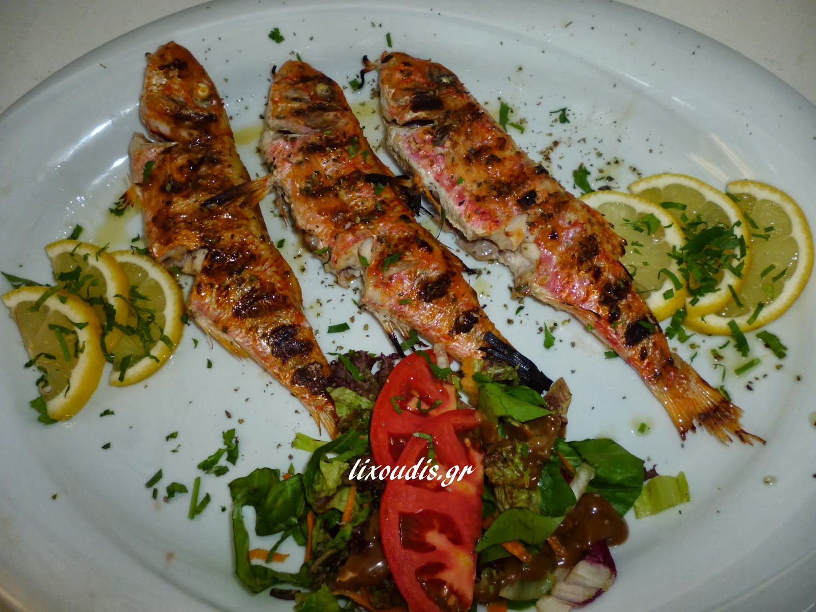 lixoudis(λιχουδης): lixoudis.gr//ΜΠΑΡΜΠΟΥΝΙΑ ΨΗΤΑ ΣΤΗ ΣΧΑΡΑ