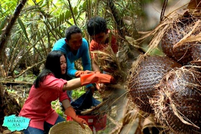 Warga Desa (World's): Kecap merek “Salacca,” berbahan Salak Merah, Pas ...