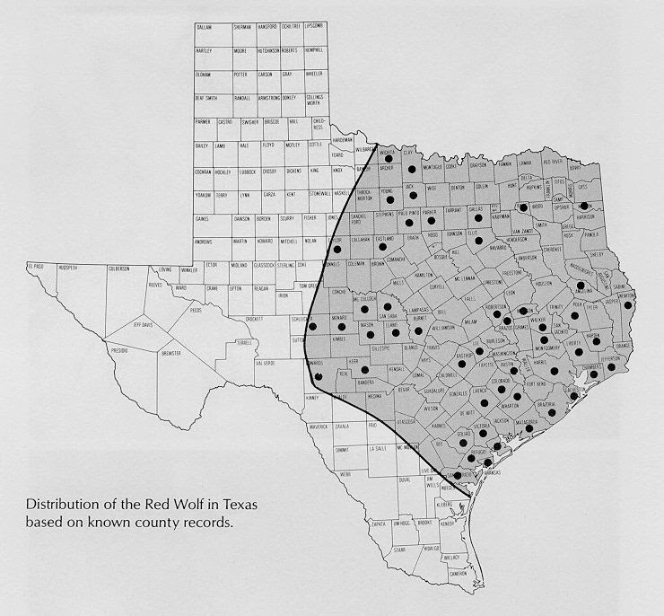 NeuroDojo: Bland mascots