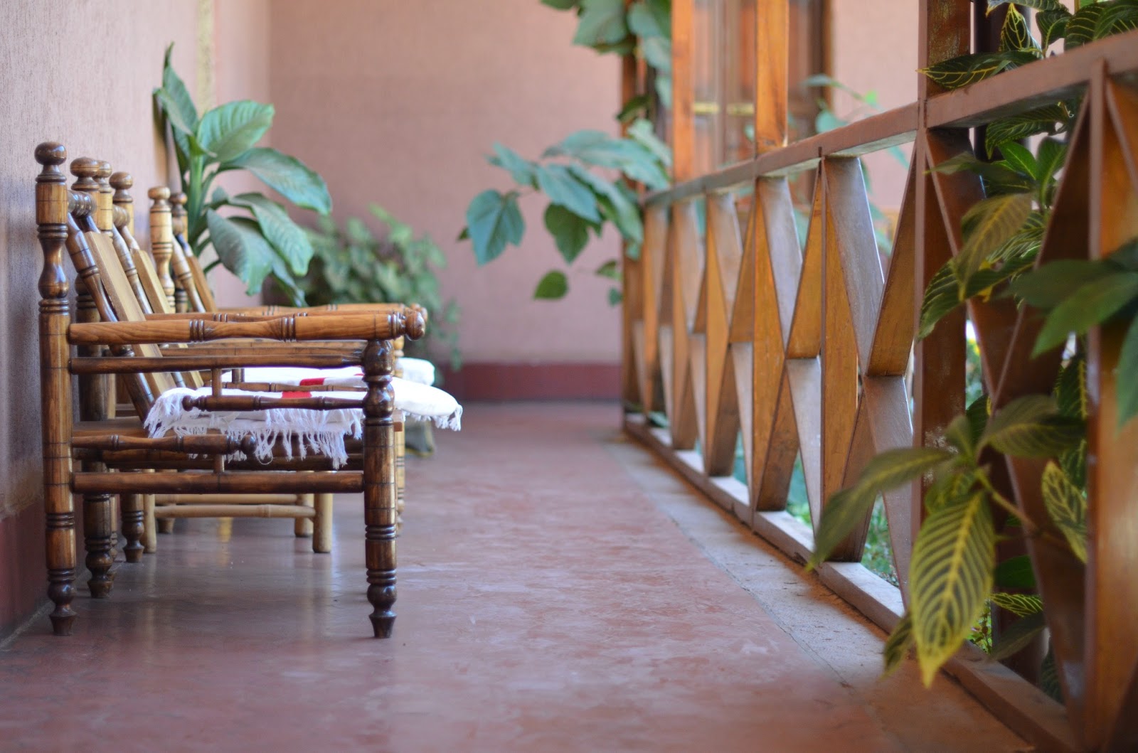 Our Yuppie Life: Negash Lodge Wolliso