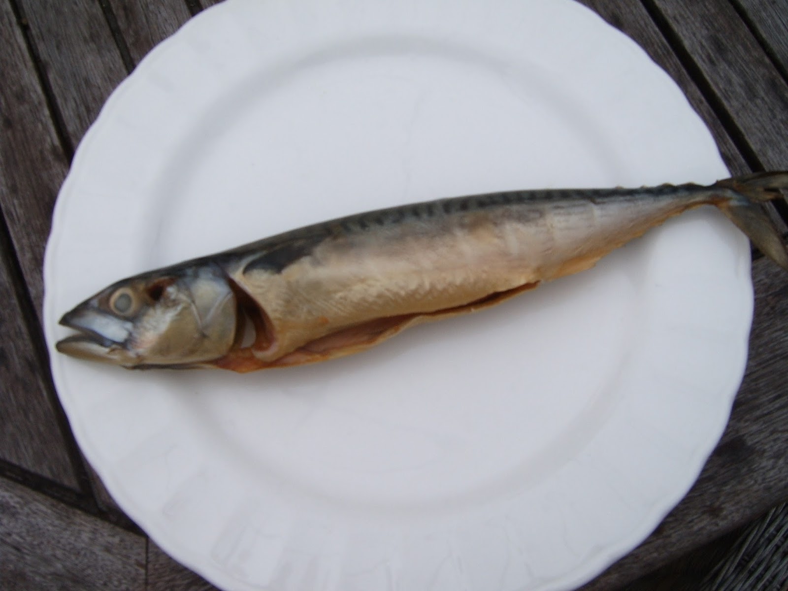 van alles wat: Makreel roken