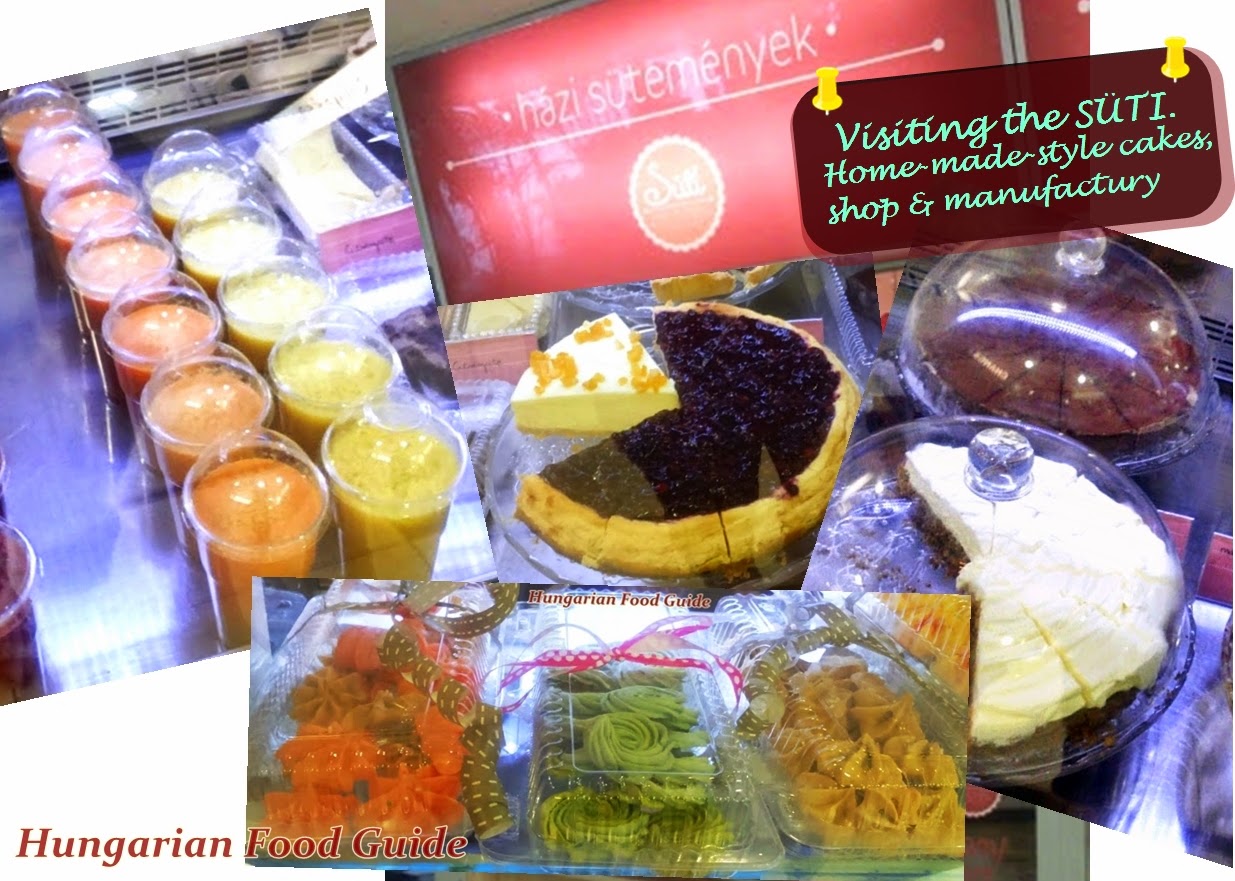 Hungarian Food Guide: 2015