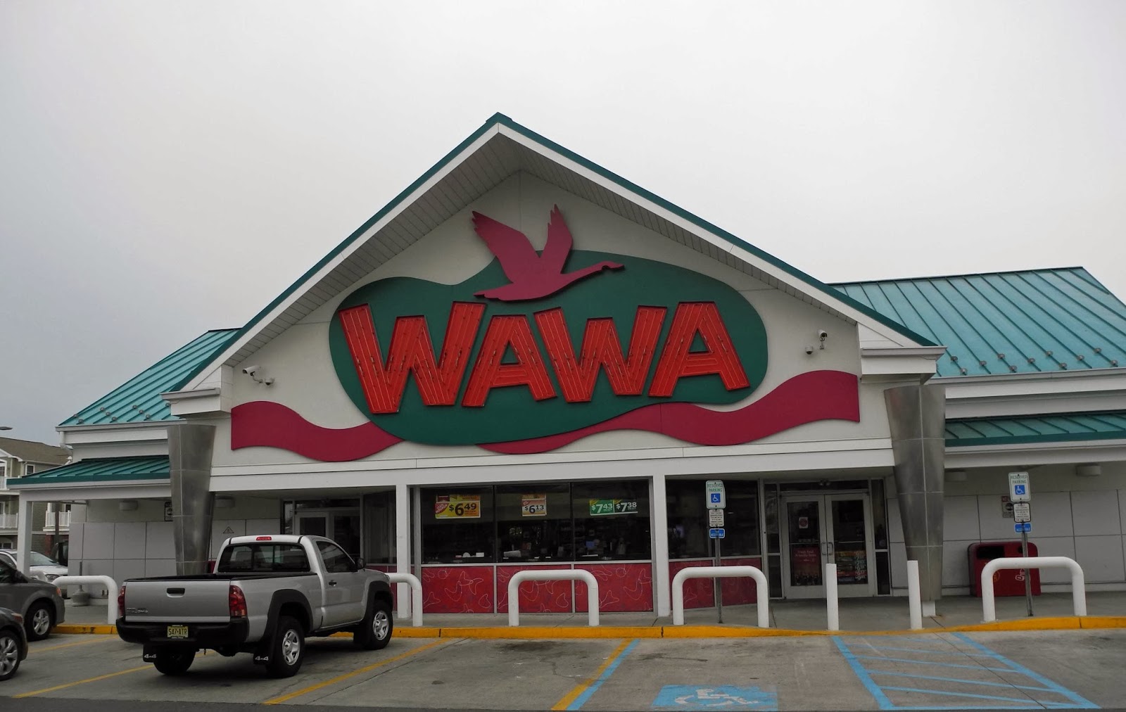 Birds & Words: Sunset Lake 2/8--Common Murre