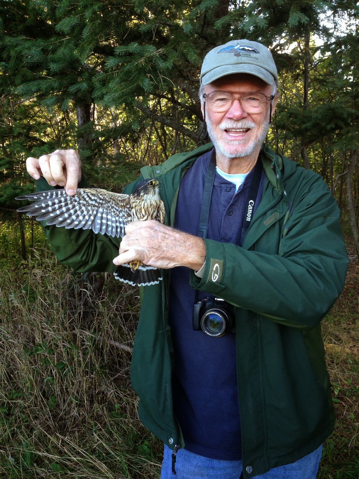 Hawk Ridge Blog: Banding Station Summary for October 8-14