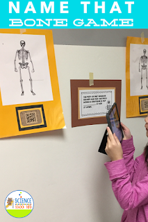 6 Skeletal System Game Ideas for Studying Bones! - The Science School Yard
