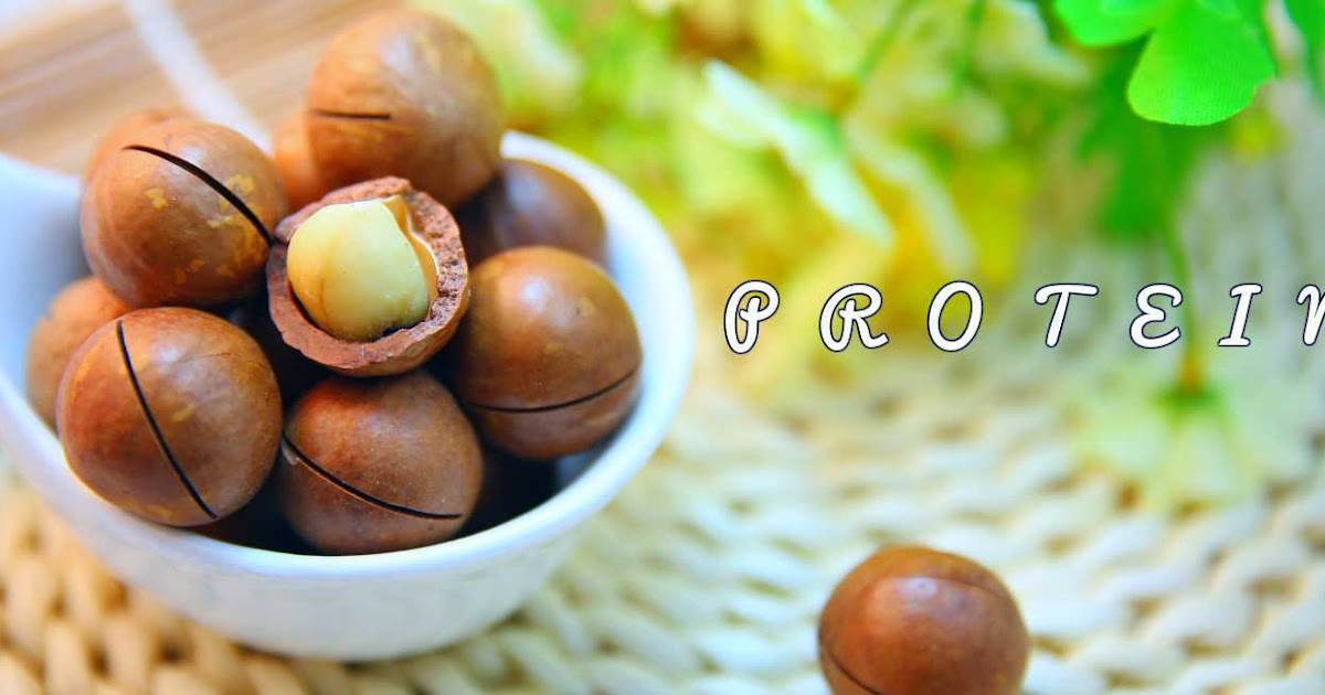 Pengertian Protein: Manfaat dan Fungsi Protein