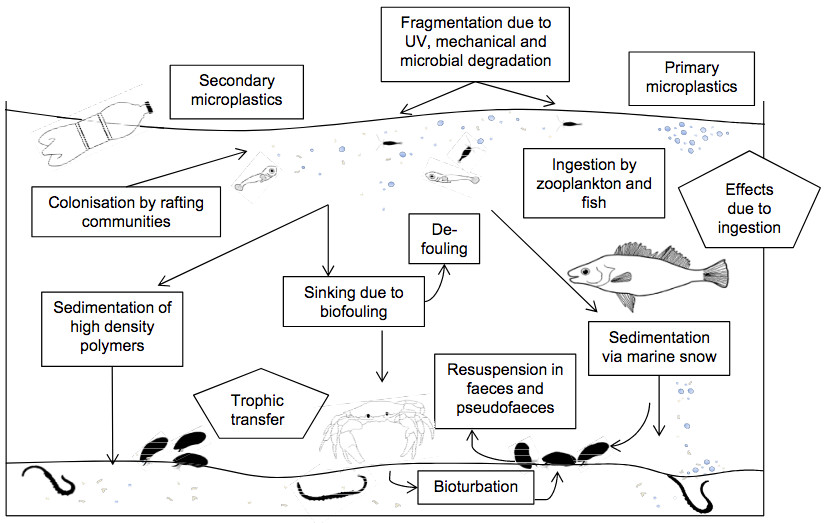The EEB & Flow: Life in Plastic Ain’t so Fantastic