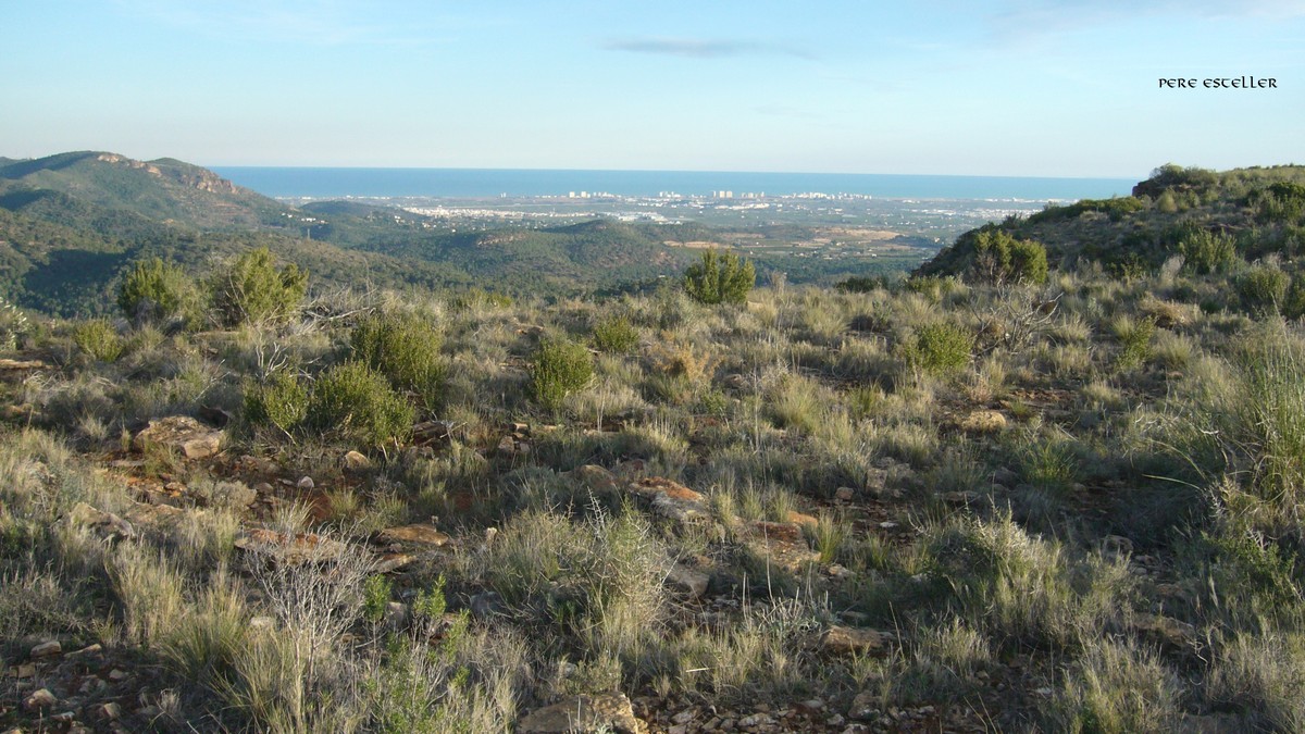 PENYA ROJA | Al Sur De La Calderona