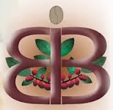 Addisvacancy: Various job openings at Buna International Bank