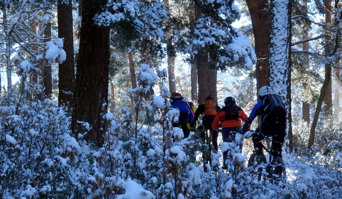 El Sherpa Loco: Más fresquitos que Walt Disney