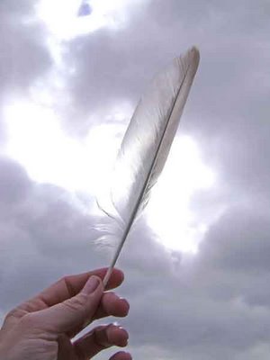 ☆Mágico y Celestial☆: La Pluma de un Ángel