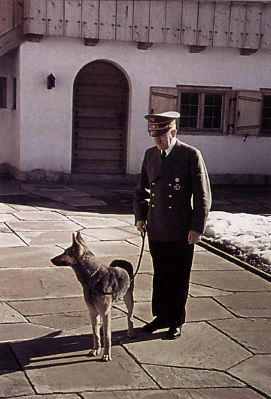 20 Vintage Photographs of Adolf Hitler and His Beloved Dog Blondi ...