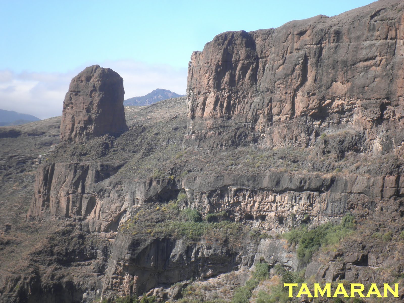 TAMARAN: TAMARAN DE BARRANCOS