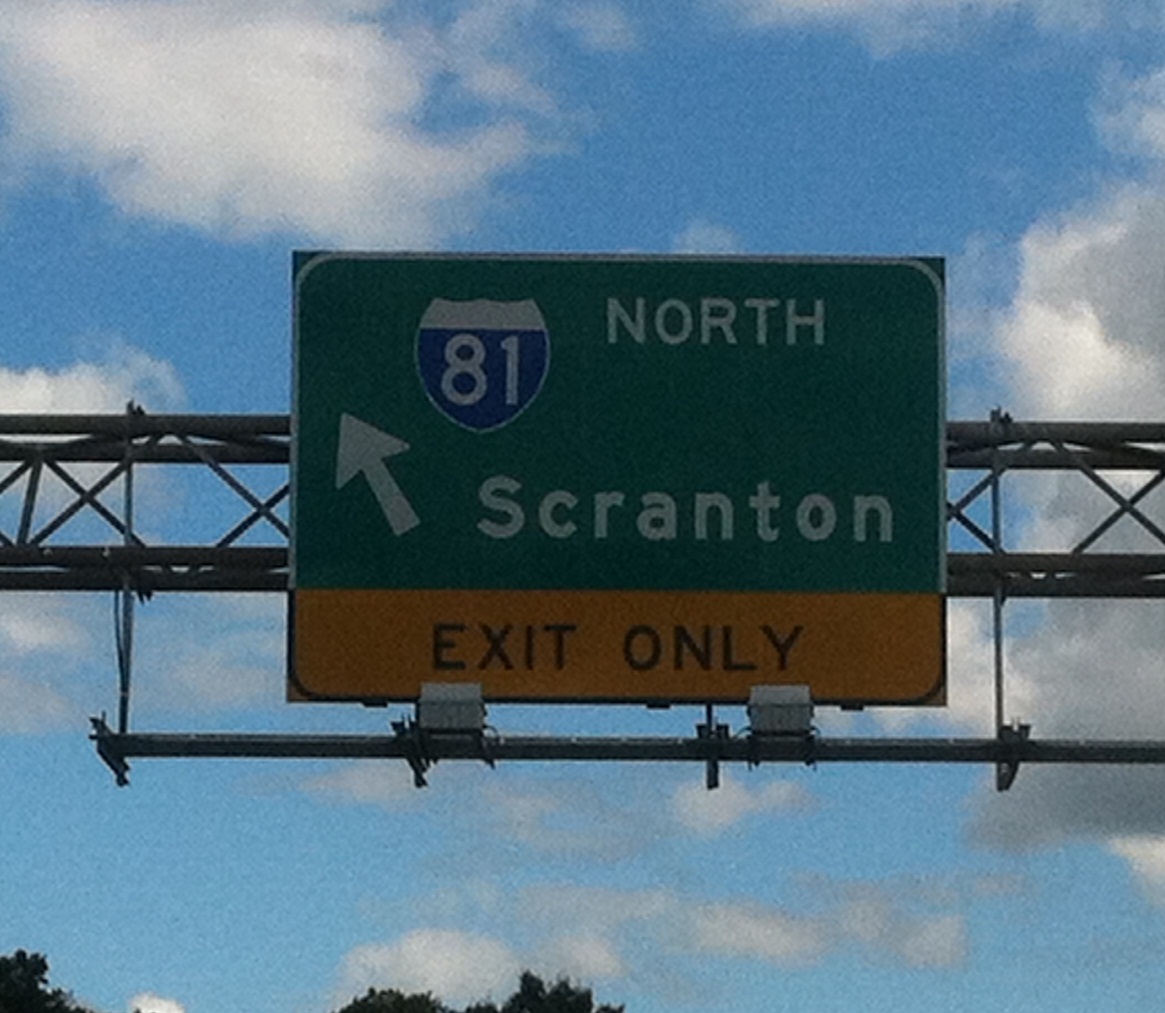 The Year of the Volunteer