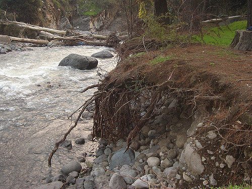 5 Contoh Tenaga Eksogen
