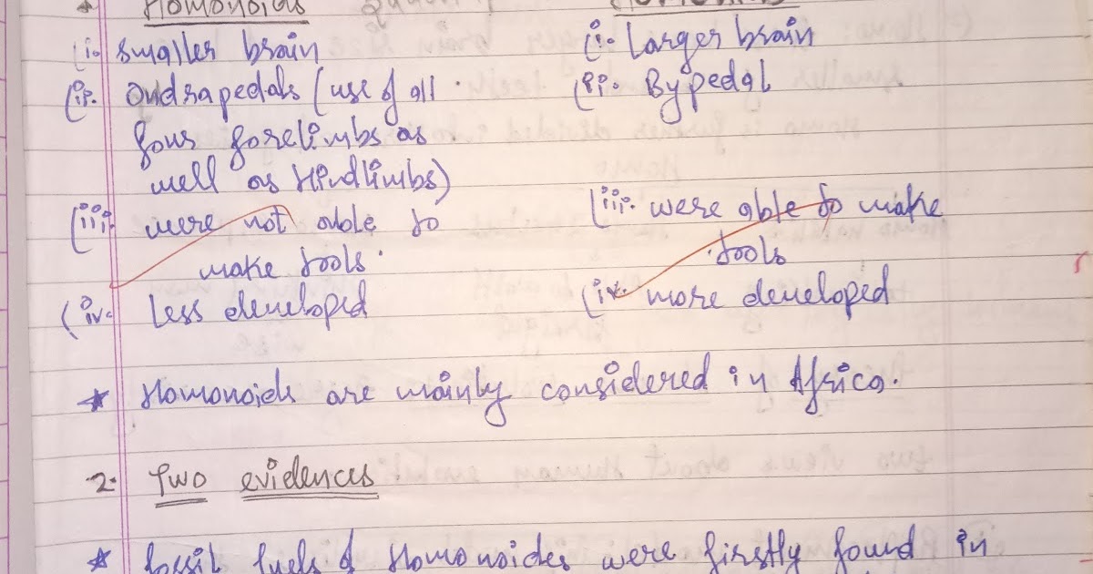 Handwritten Notes of From the Beginning of Time-class 11th-History