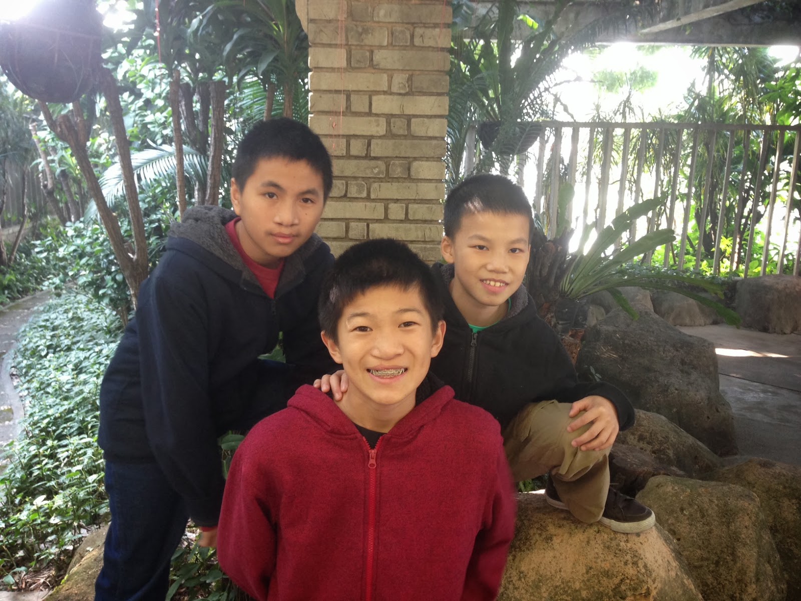 Coming Home to Florida