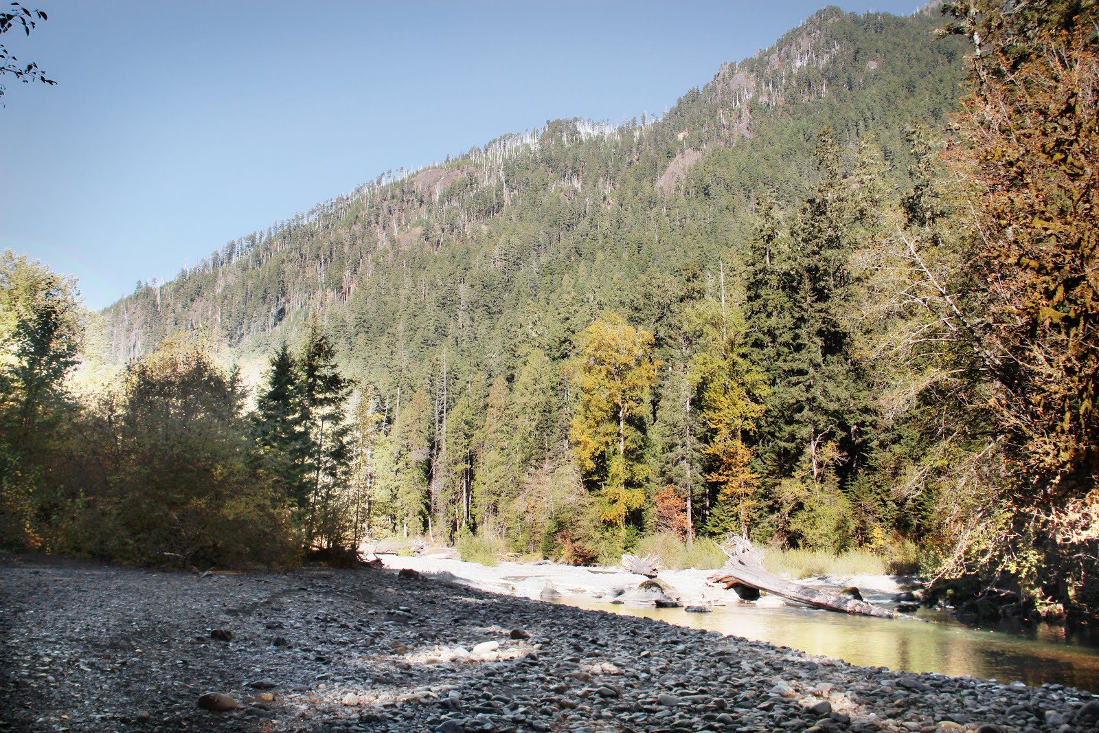 The Lovely Red Fox: Hiking Staircase — Olympic National Park