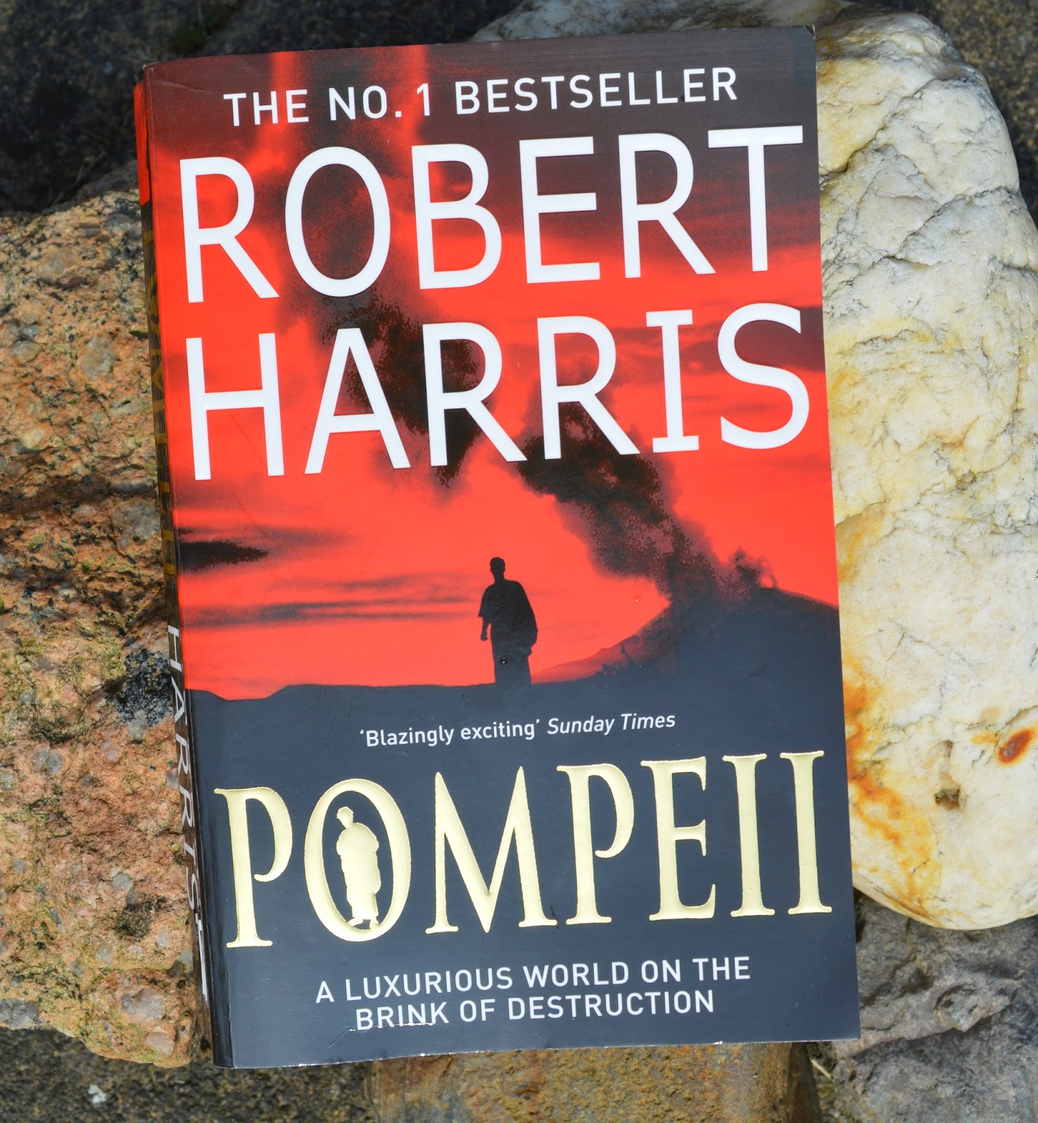 Book&aCuppa: Robert Harris, Pompeii