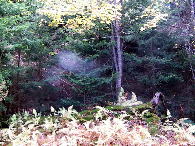 An Idiots Guide to Peakpagging and Hiking in New England: The Gallop ...