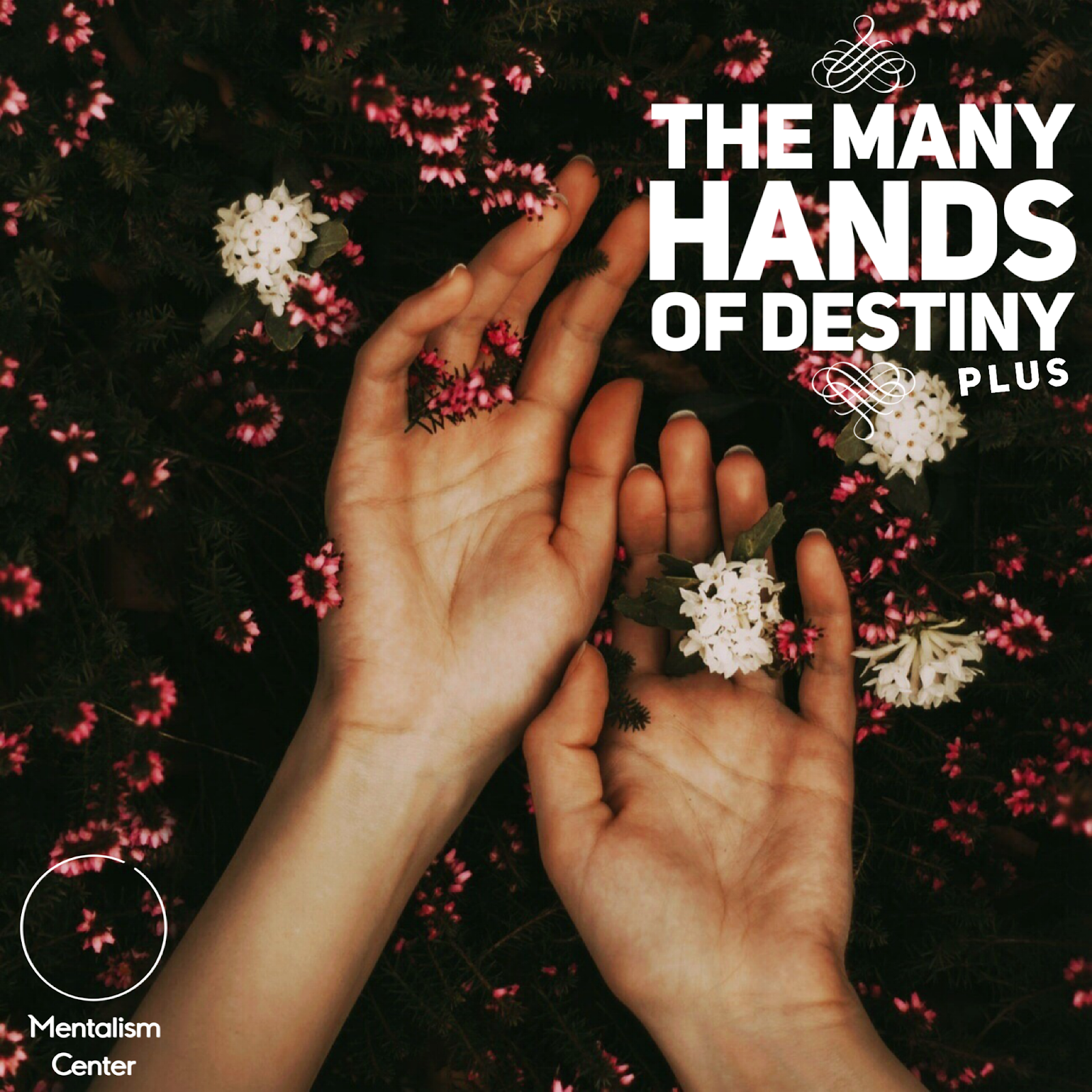 The Many Hands of Destiny Plus