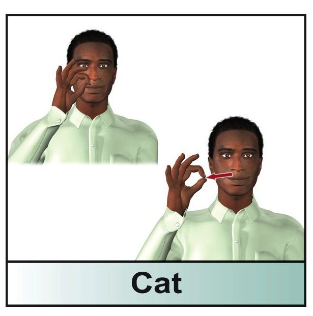 HearMyHands ASL: sign: CAT. Happy Birthday Dr. Seuss!