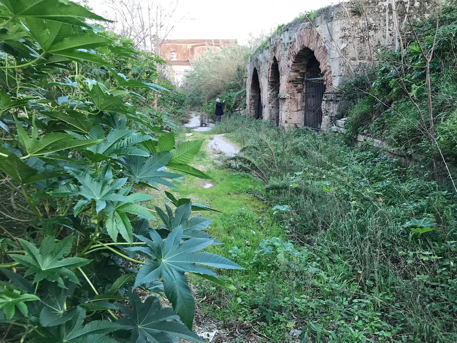 archivio e pensamenti: TRA SAN CIRO, MONTE GRIFONE E IL LAGO NELL ...