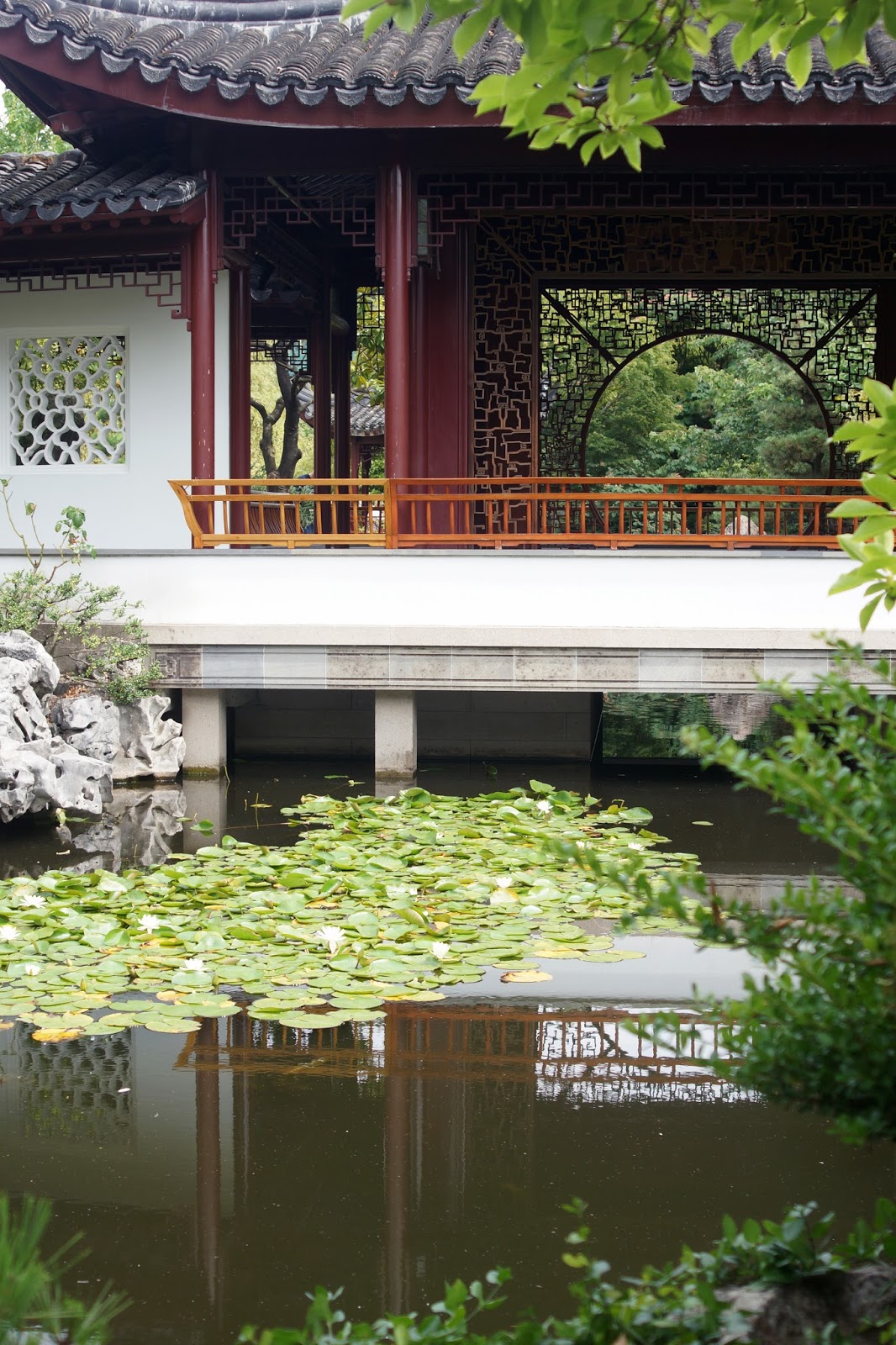 Continually Surprised!: The Sun Yat-Sen Chinese Garden