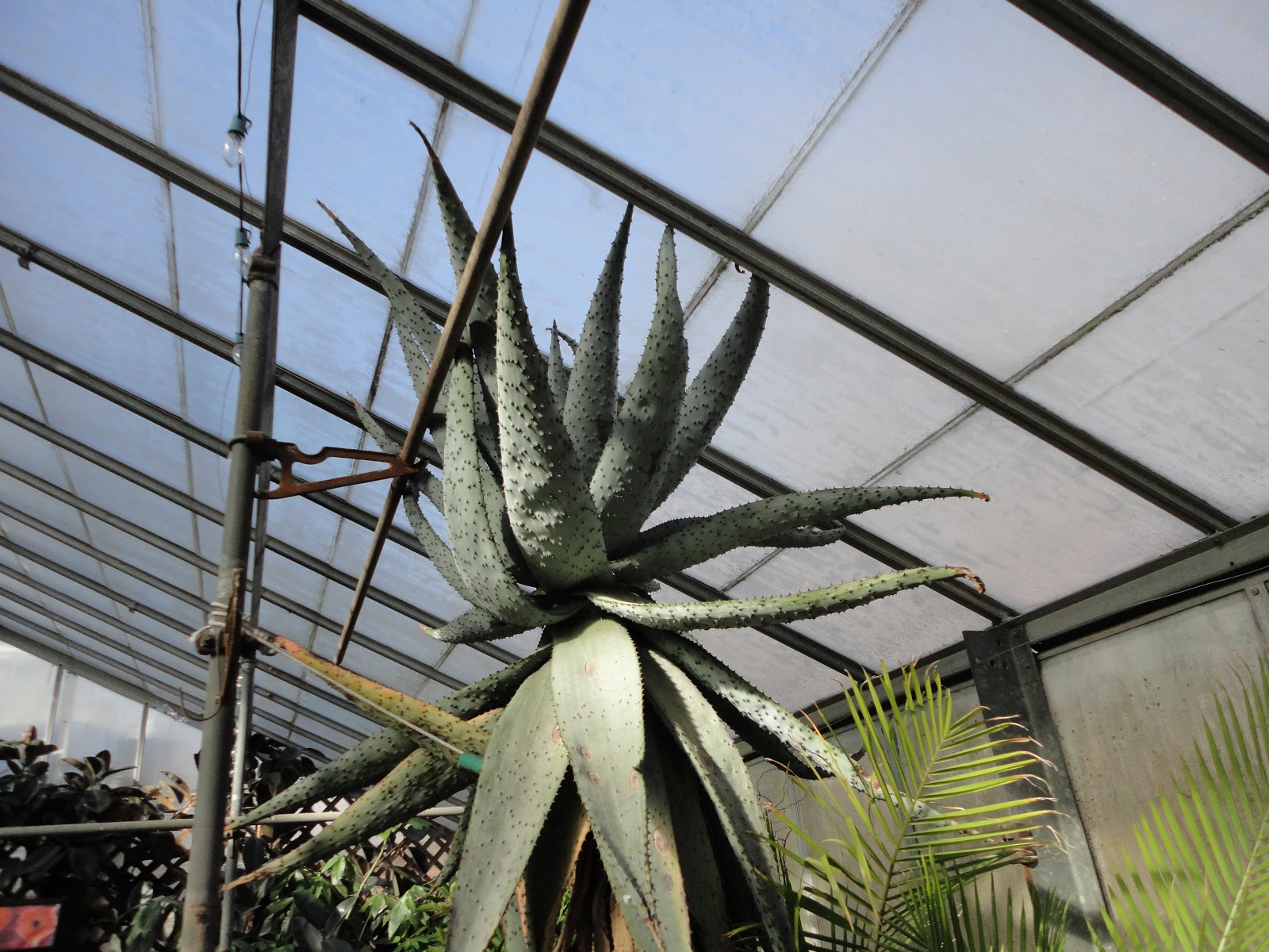 Inverbrook Farm: Chansonette Flowers & Art and Chadds Ford Greenhouses ...