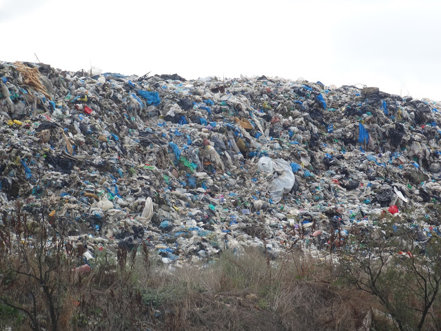 ORTHOLOGIKA: 5 ΔΙΚΕΣ ΣΗΜΕΡΑ ΓΙΑ ΤΑ ΣΚΟΥΠΙΔΙΑ ΤΗΣ ΤΡΙΠΟΛΗΣ !!! ΤΗΣ ...