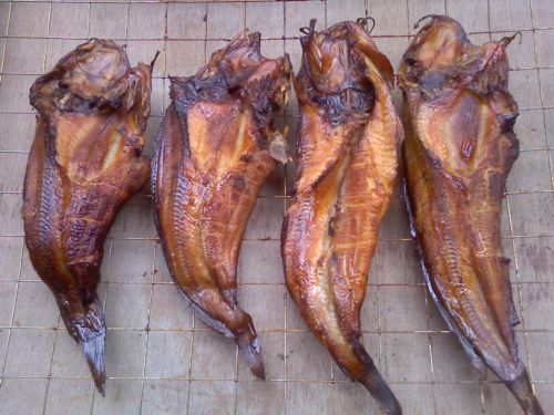 Kemahiran Belajar Berkesan