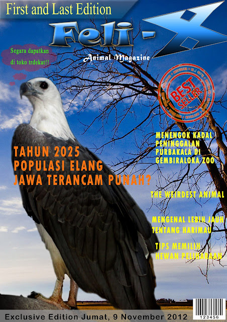 Contoh Desain Cover Majalah dengan Adobe Indesign dan Photoshop ...