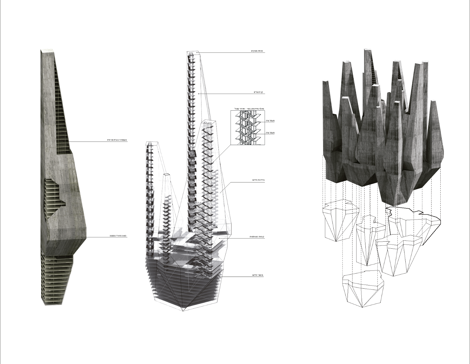 Sarig . Shveka – a f a s i a