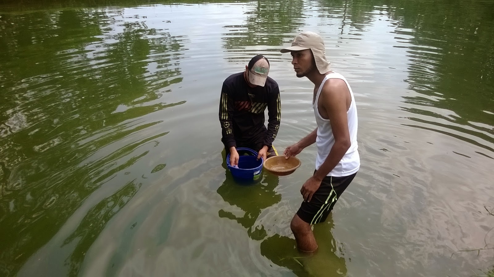 MONOCULTIVO DE CACHAMA (Colossoma sp) ~ ACUICULTURA CÓRDOBA