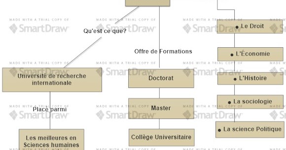 Schéma ou Carte Conceptuelle