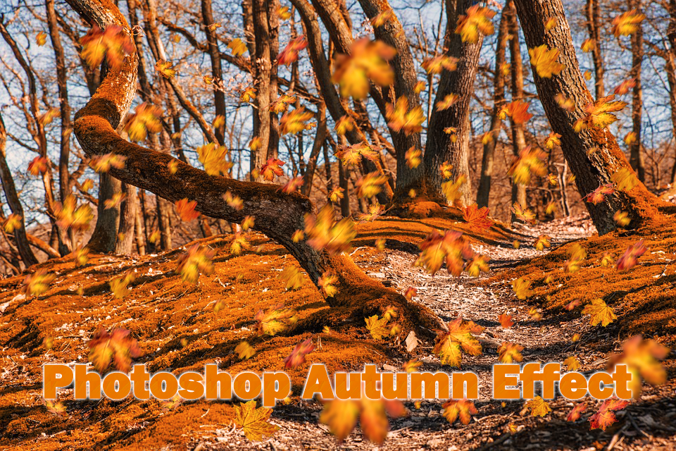 Photoshop autumn effect & Falling Leaves effect [ fast! ] | Value In Brief